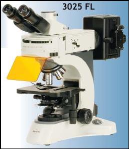 Upright Microscopes